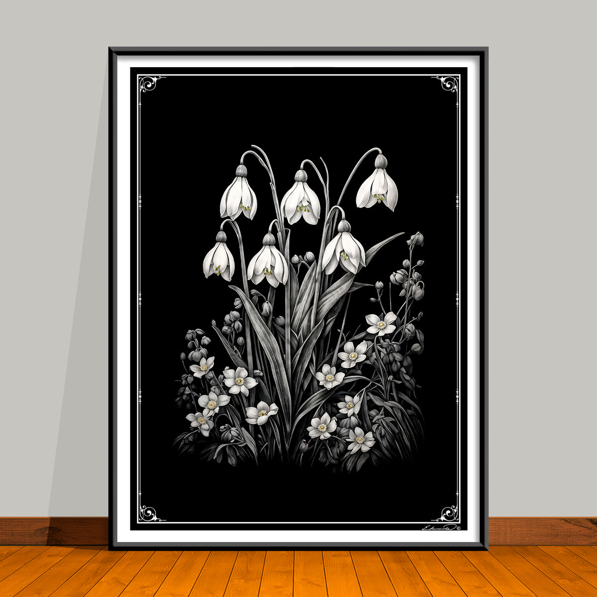 January Birth Flower Art Prints: Featuring the Carnation & Snow Drop ...
